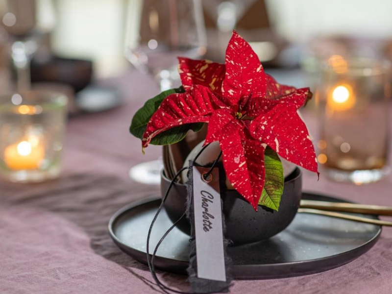 Με αυτά τα βήματα τα αλεξανδρινά σας θα κρατήσουν και μετά τις γιορτές | Alfavita